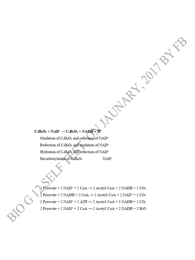 Grade 12 Biology Metabolism Worksheet | PDF | Cellular Respiration ...