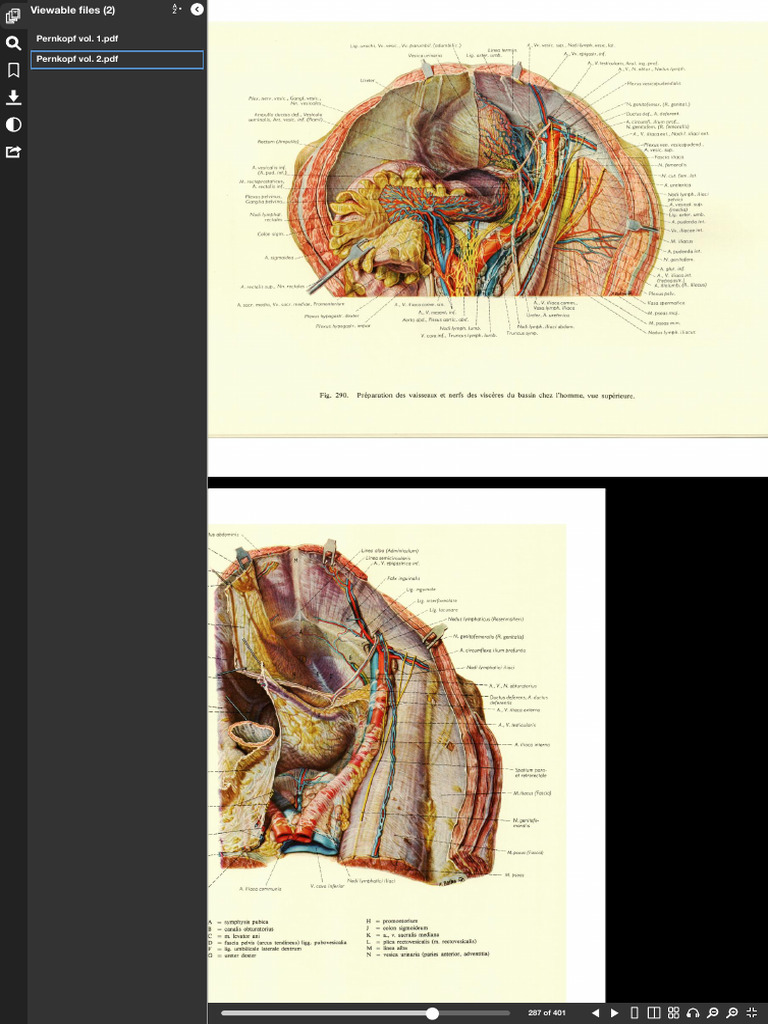 Pernkopf Vol. 1 & 2 Free Download, Borrow, and Streaming Internet ...