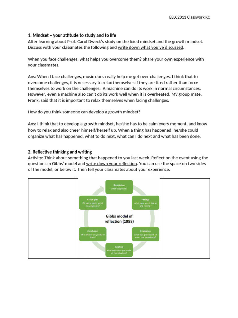 Classwork_Mindset and reflection | PDF