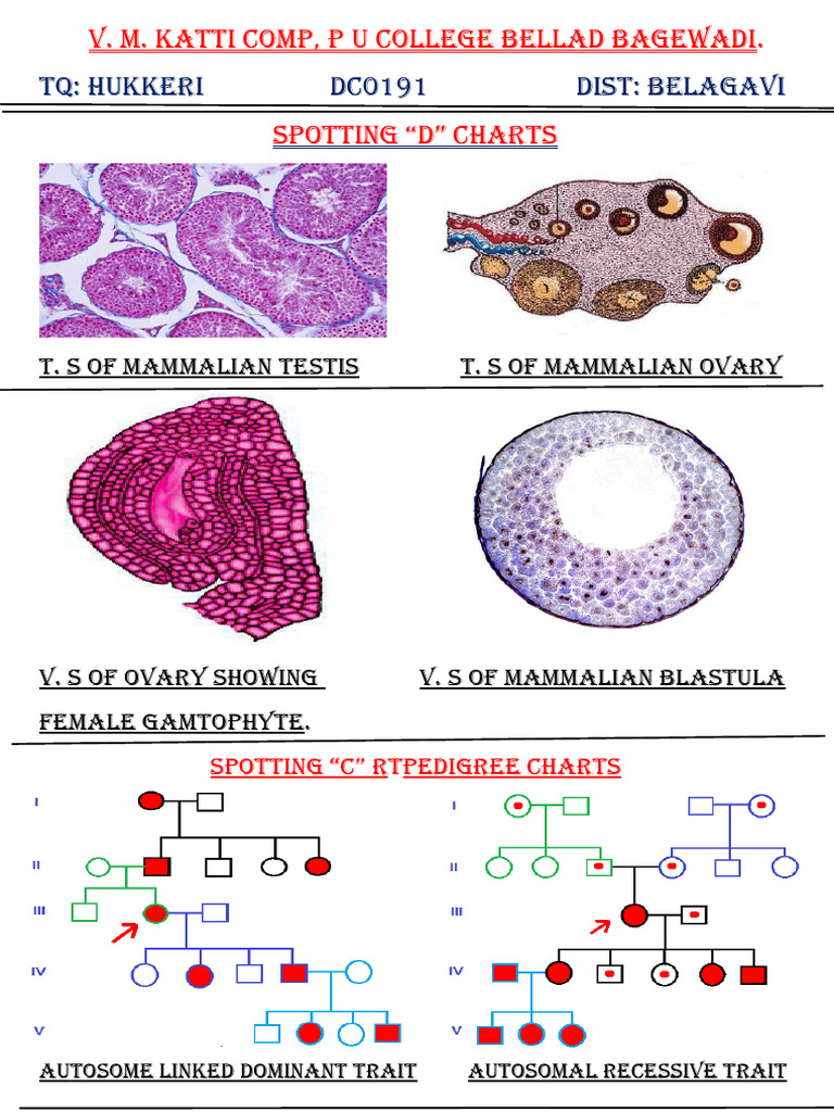 Biology Spotting Charts Guide | PDF