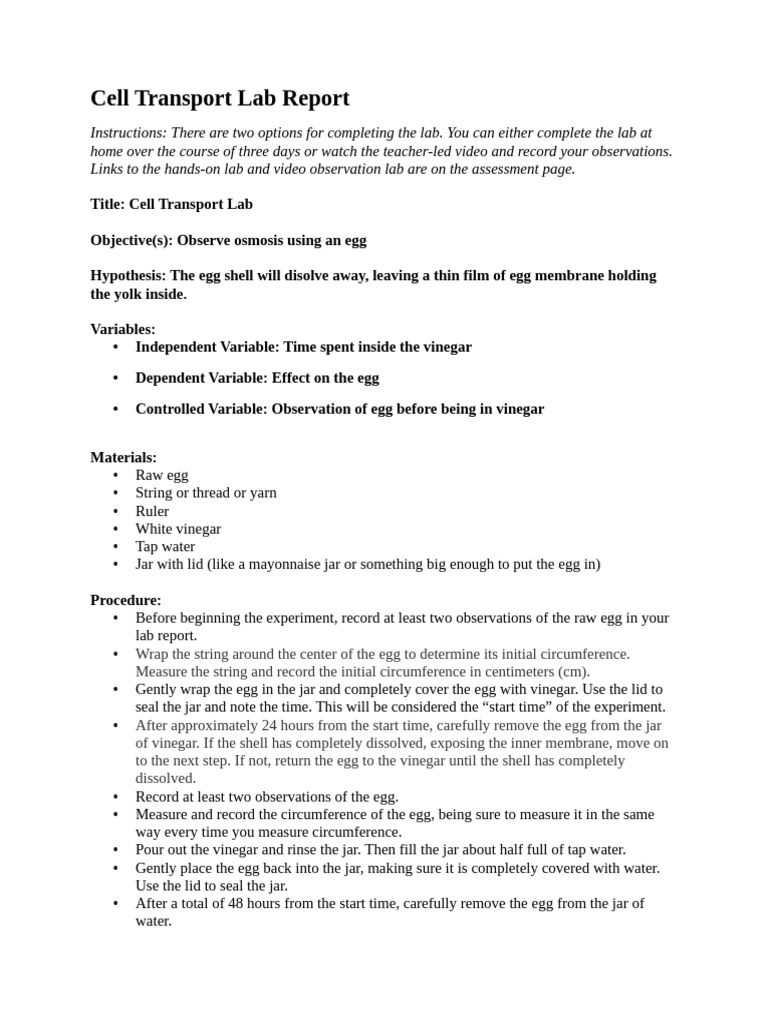 02 04 Cell Transport Lab Report | PDF
