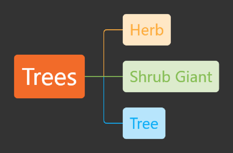 Tree Types | PDF