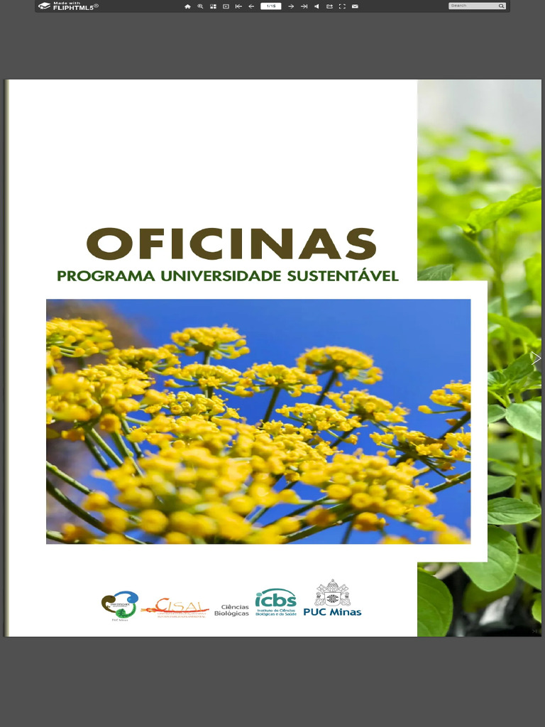 Oficinas | PDF