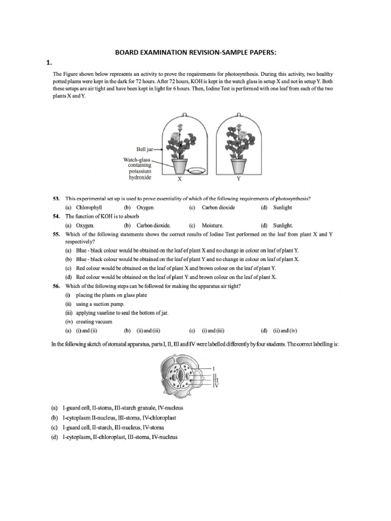 GR 10 Board Examination Revision | PDF