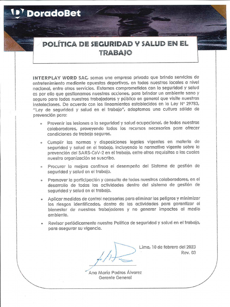 Formato Politica de Seguridad y Salud en El Trabajo | PDF