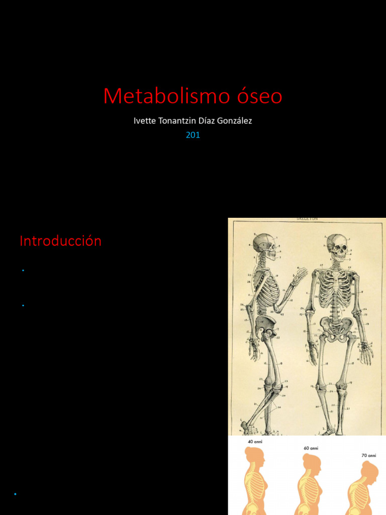 Metabolismo Óseo | PDF | Vitamina D | Hueso