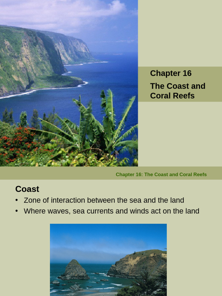 Chapter - 16-The Coast and Coral Reefs | PDF | Coast | Beach