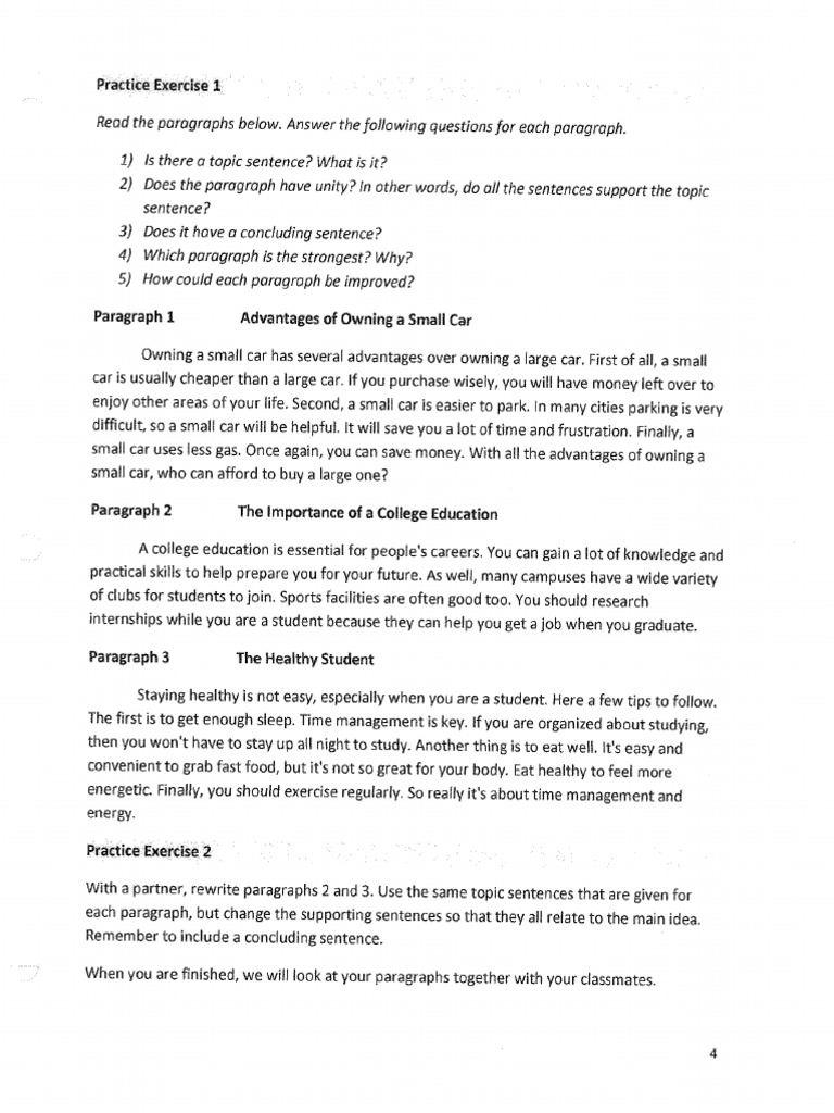 Essay Writing Handout | PDF