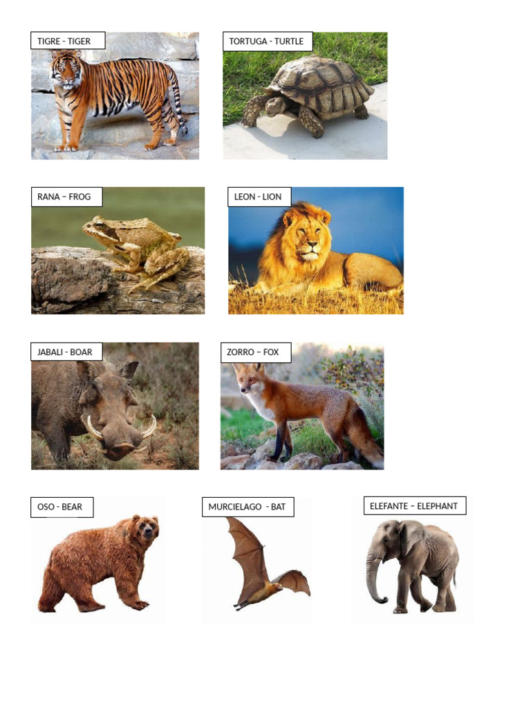 Animales Ingles Español | PDF