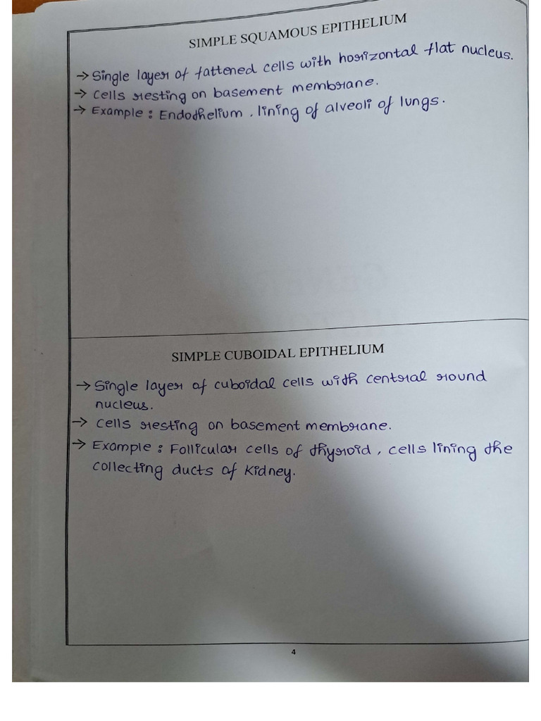Anatomy Record - 241221 - 142920 | PDF