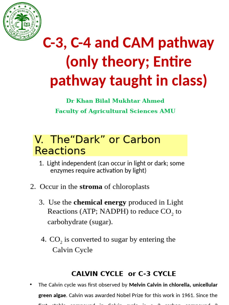 C-3, C-4 and CAM Pathway (Only Theory) B.sc Ag Sem II | PDF ...