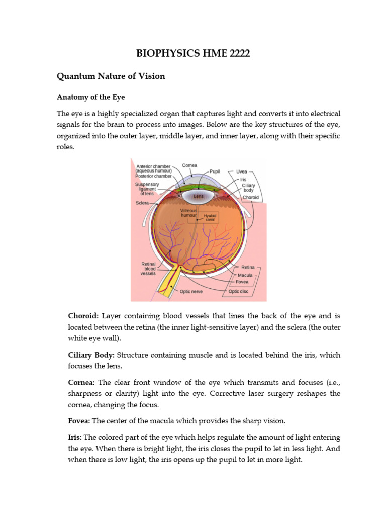 BIOPHYSICS HBT2334-2 | PDF | Electromagnetic Radiation | Eye