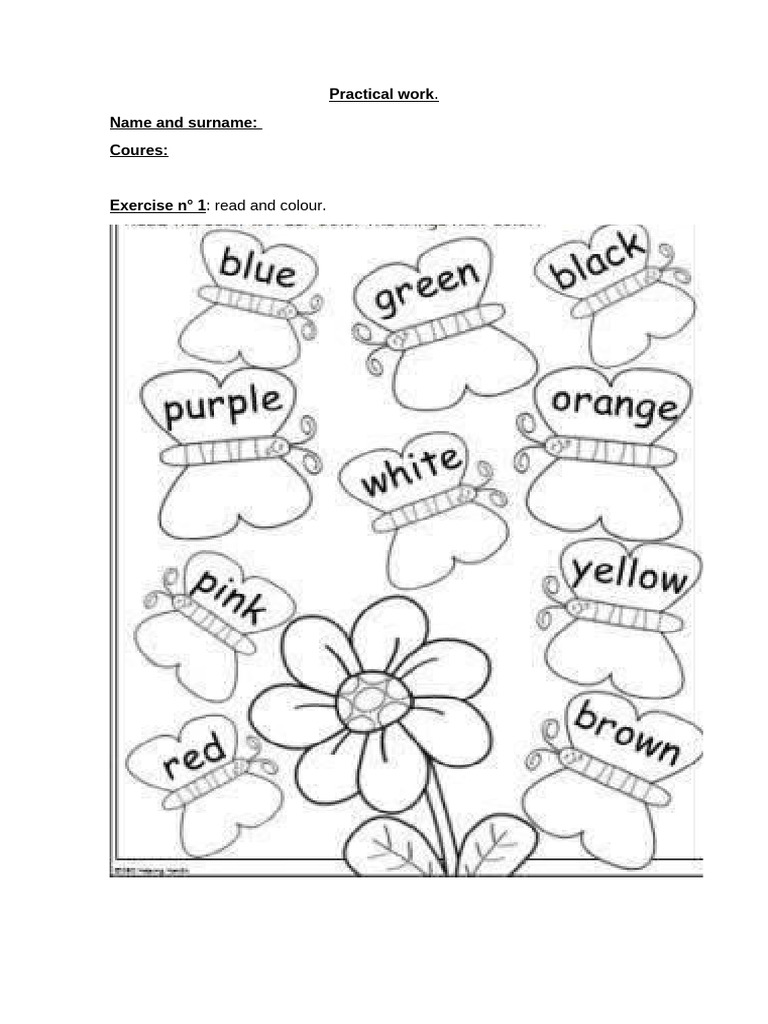 Practical Work 1 | PDF