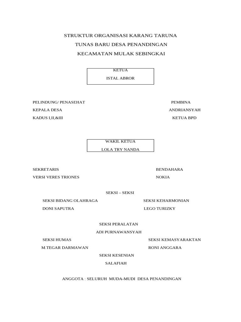 Struktur Organisasi Karang Taruna | PDF