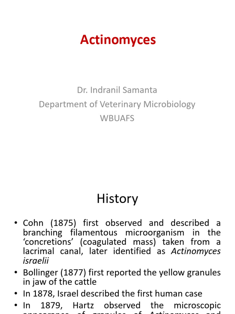 Overview of Actinomyces Characteristics | PDF | Medical Specialties | Microbiology