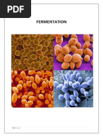 Yeast Structure and Characteristics | PDF | Yeast | Saccharomyces ...