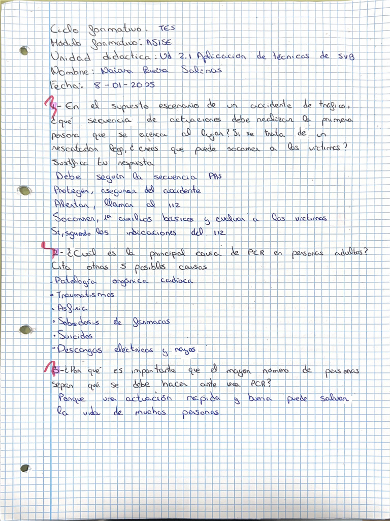 Asise Ud 2.1 Pereira Salinas Naiara | PDF