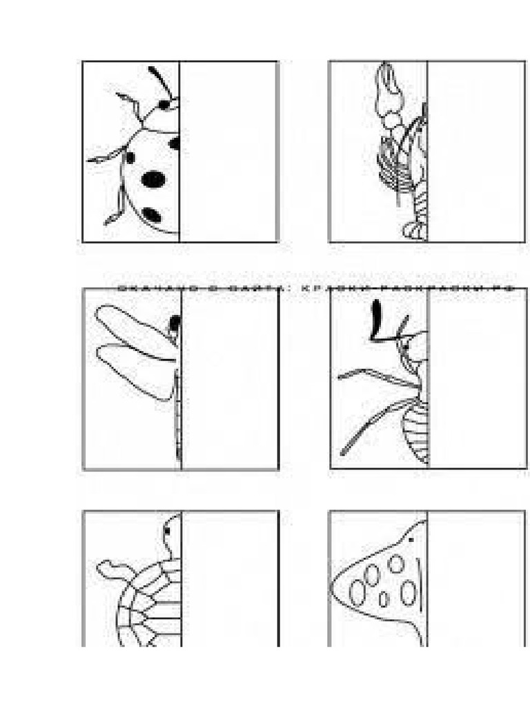 Simetria Ejercicio | PDF