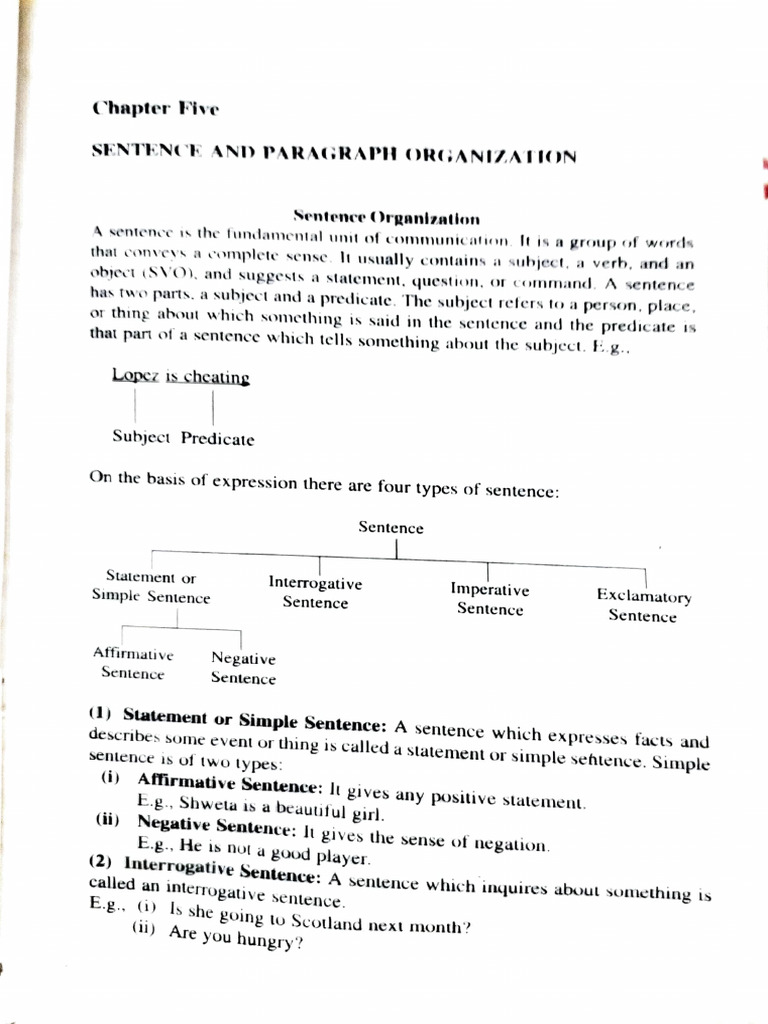 Sentence and Paragraph Structure | PDF | Sentence (Linguistics) | Paragraph