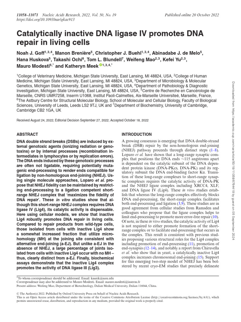 Catalytically inactive DNA ligase IV promotes DNA repair in living ...