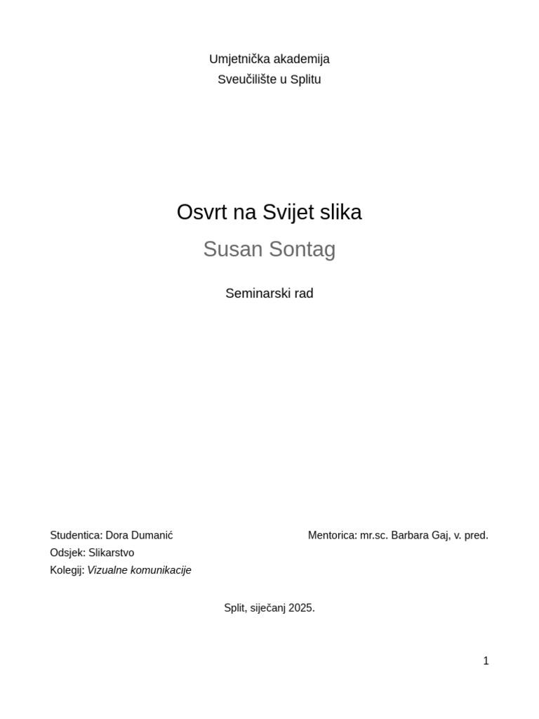 Susan Sontag Svijet Slika Seminar | PDF