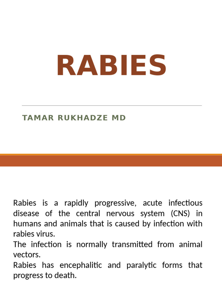 Understanding Rabies: Symptoms and Risks | PDF | Rabies | Virus