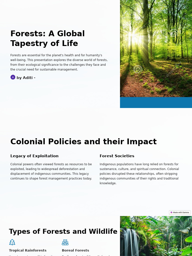 Forests A Global Tapestry of Life | PDF | Forests | Forest Management