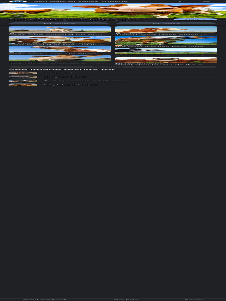 Cow - Google Search | PDF