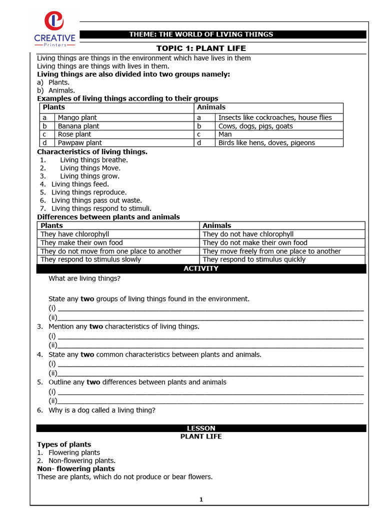 p4 Science Workbook Term I | PDF | Leaf | Photosynthesis