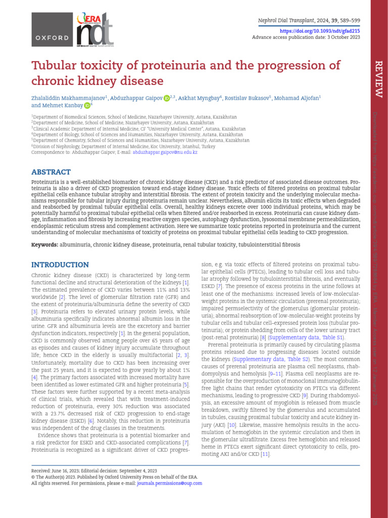 Tubular Toxicity of Proteinuria in CKD | PDF | Autophagy | Reactive ...
