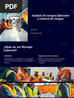 La Pirámide Del Control de Riesgos | PDF | Riesgo | Solvente