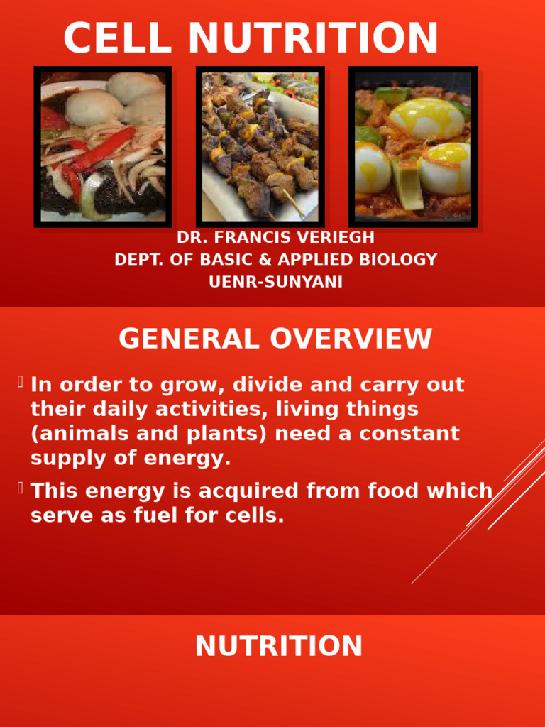 Cell nutrition | PDF | Glycolysis | Diet & Nutrition