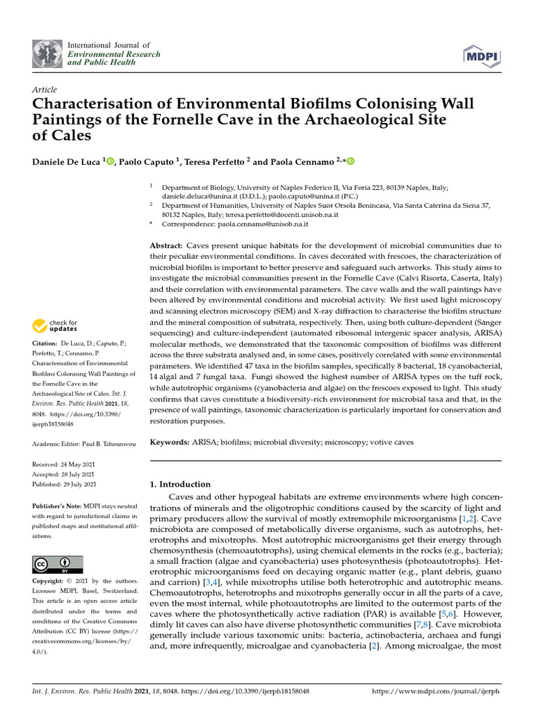 Characterisation of Environmental Biofil | PDF | Polymerase Chain Reaction | Cyanobacteria
