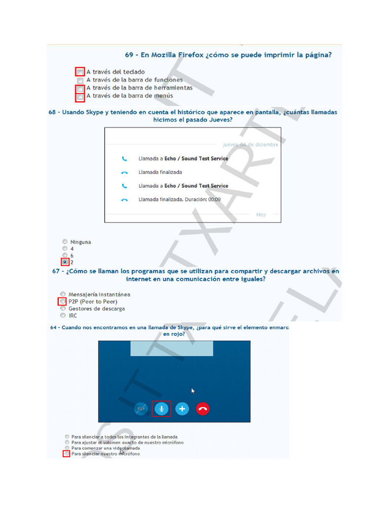 Internet Avanzado | PDF