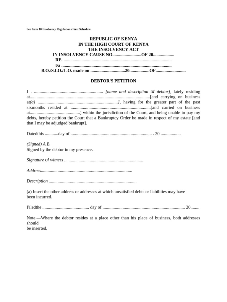 Debtor's Bankruptcy Petition Form 10 | PDF
