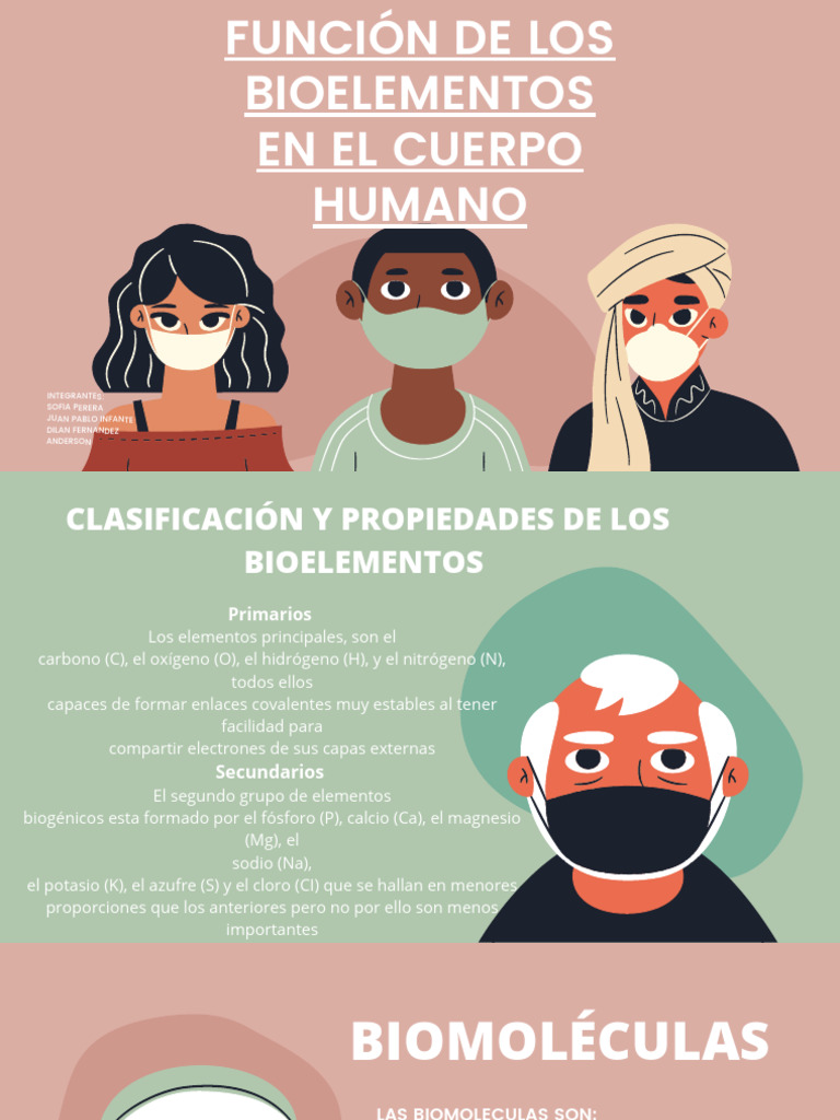 Función de los bioelementos | PDF | Moléculas | Biomoléculas