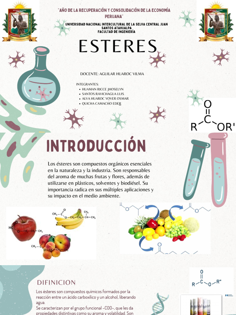 PPT esteres | PDF | Ester | Biodiésel