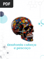 Forames Cranianos: Funções e Localizações | PDF | Anatomia humana ...