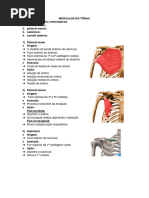 Anatomia dos Músculos do Tórax | PDF | Anatomia humana | Sistema Locomotor