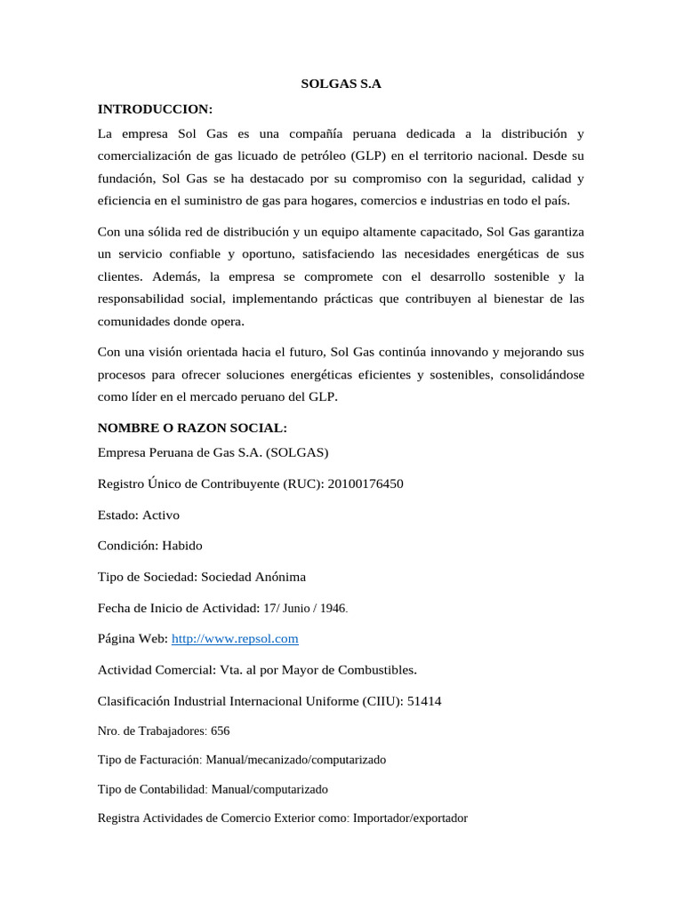 Borrador 1 | PDF | Business | Perú