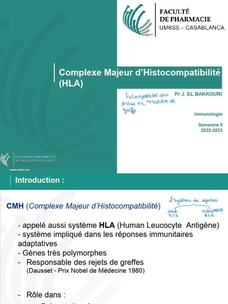 1.CMH 3 | PDF | Complexe majeur d'histocompatibilité | HLA (antigène)