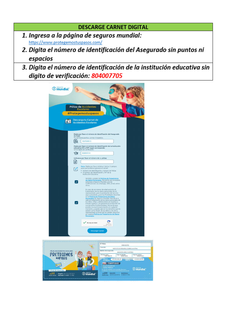 Descarga Carnet Digital de Seguro | PDF