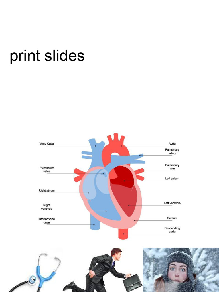 Heart project example | PDF | Heart Rate | Heart