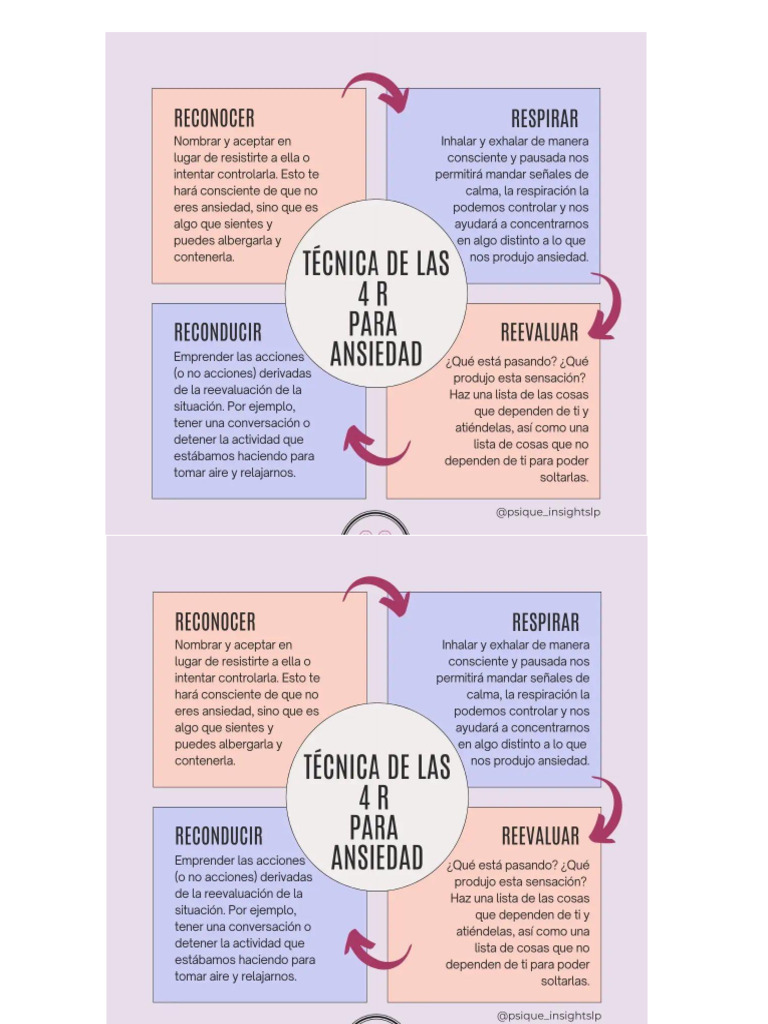 Tecnica de Las 4 R | PDF