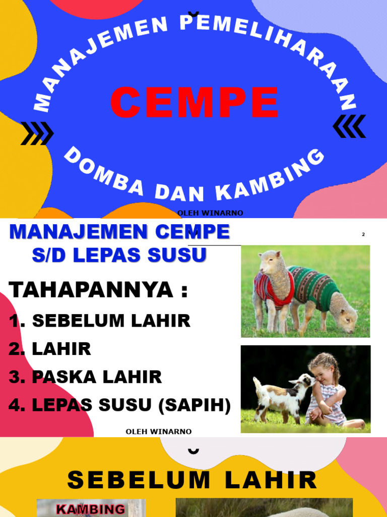 Manajemen Cempe Pada Domba Dan Kambing | PDF