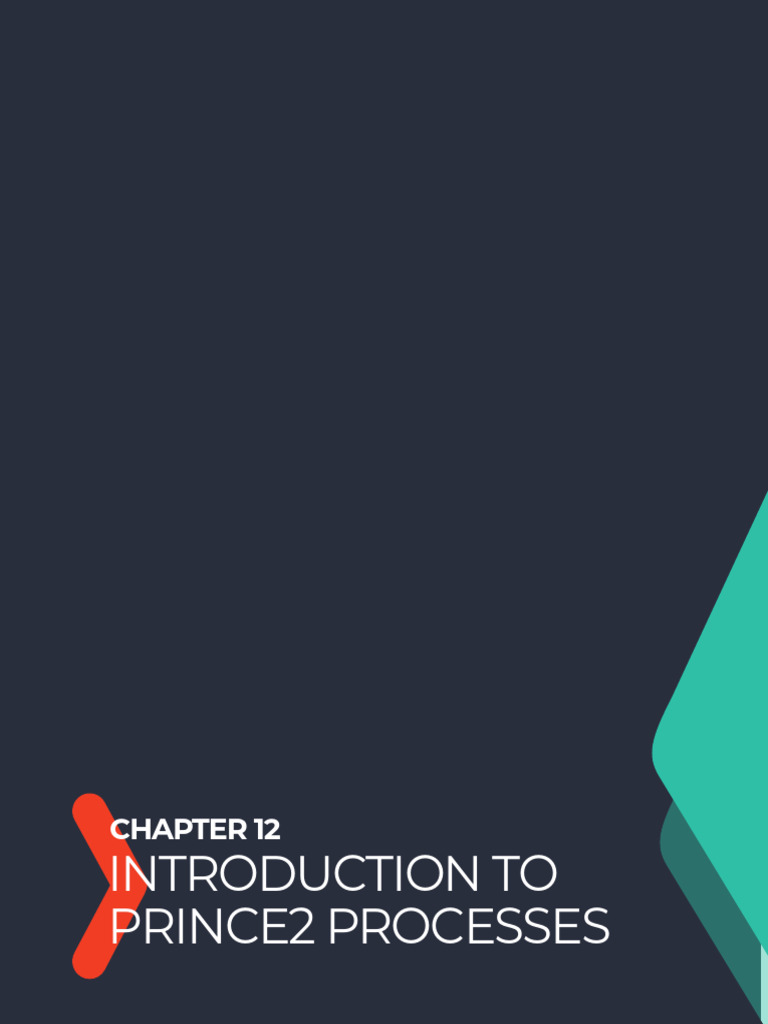 Chapter-12-Introduction-to-Processes | PDF | Project Management | Business