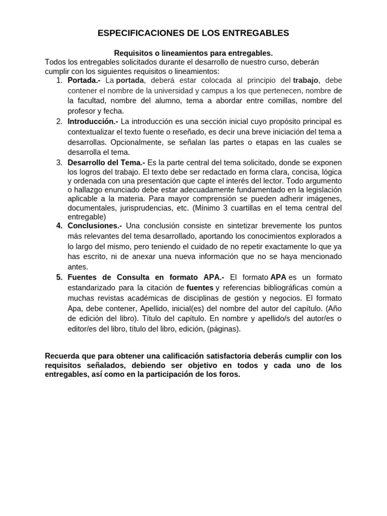 Lineamientos para Entregables | PDF