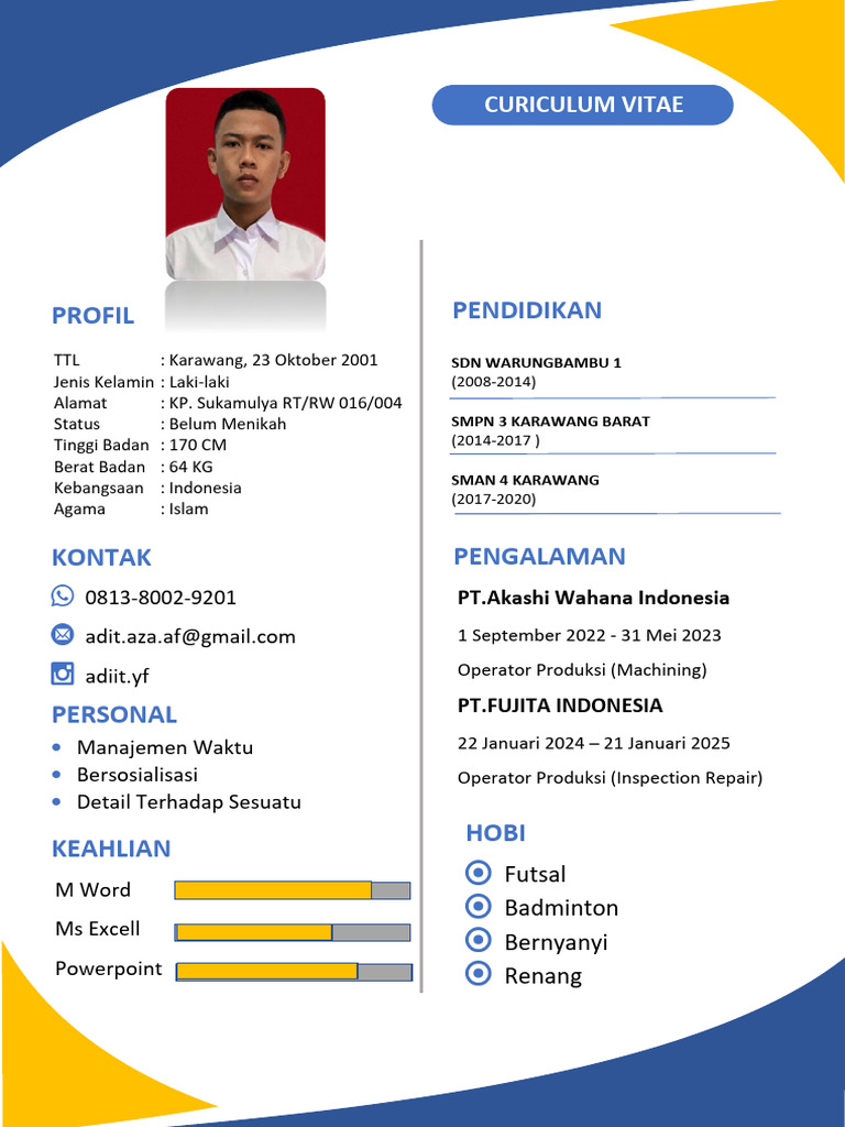 CV Adit 2025 | PDF