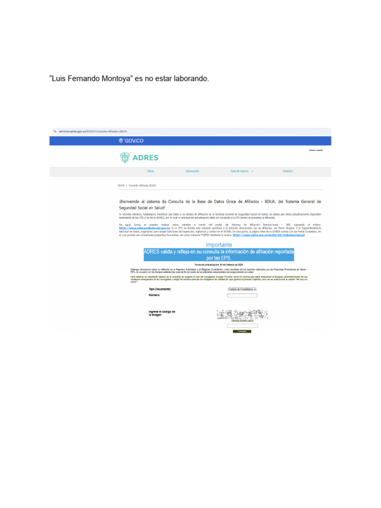Instrucciones para Soporte FOSYGA | PDF