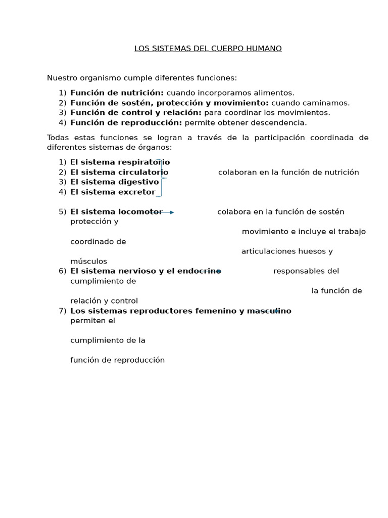 Funciones y Sistemas del Cuerpo Humano | PDF